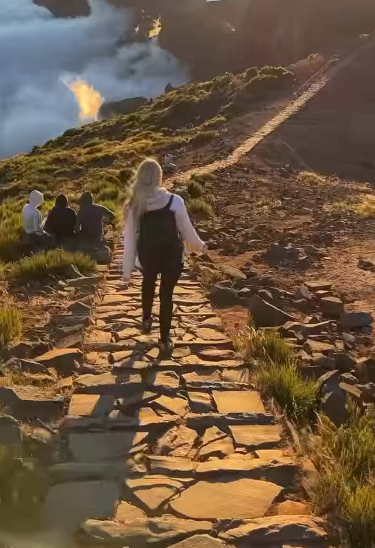 Echoes of Enchantment: A Journey Through Madeira’s Untamed Beauty – the ...